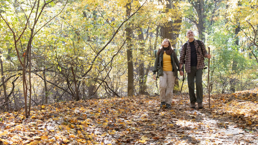 Our Story - Gore Mutual Insurance