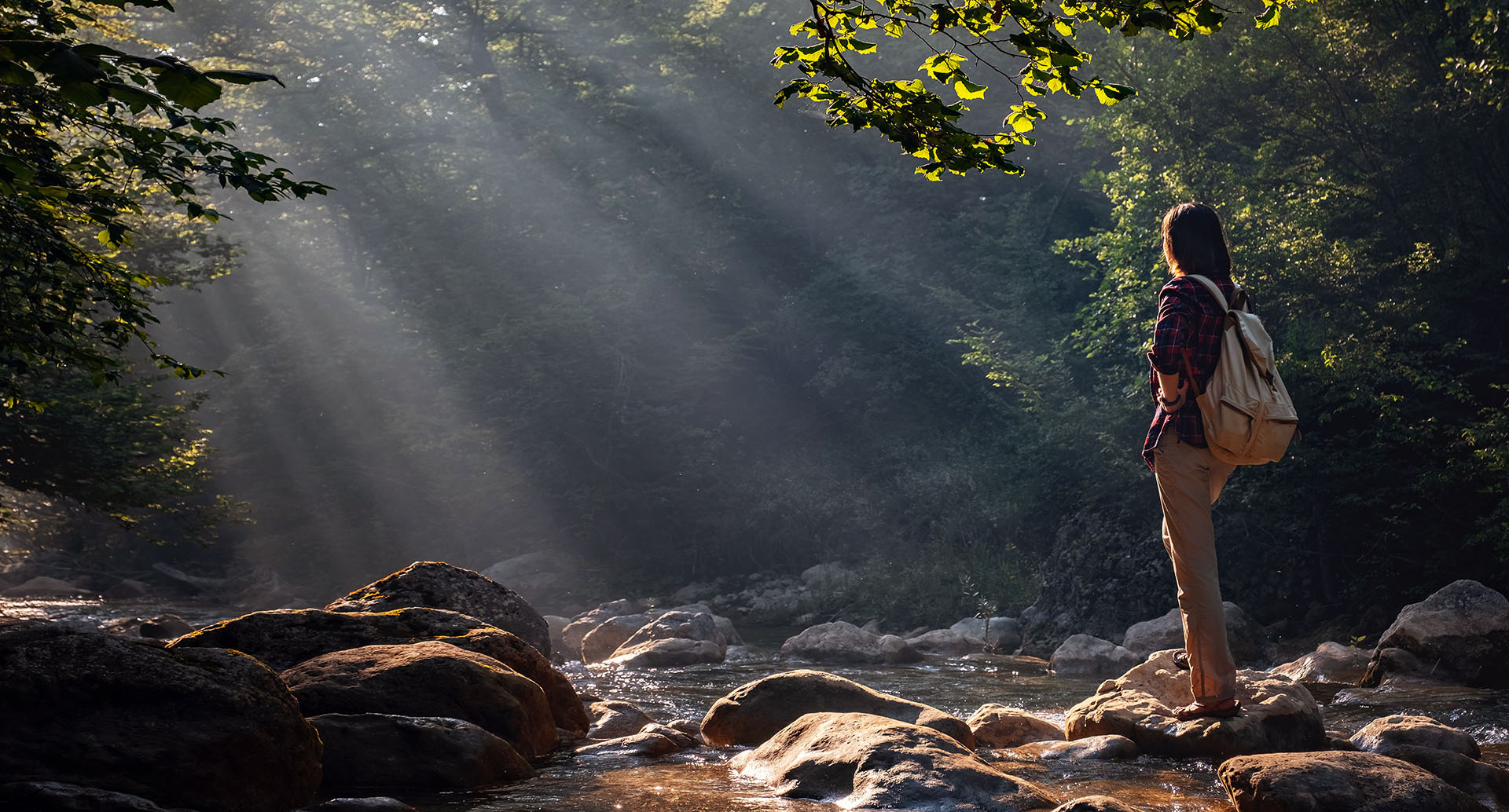 Brand - Gore Mutual Insurance